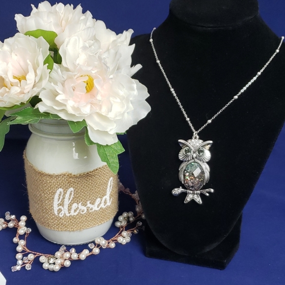 carole | Jewelry | Carole Silver Toned Owl Necklace | Poshmark